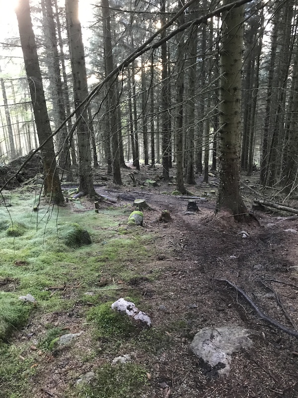 Durris 1 Mountain Biking Trail - Durris | Trailforks