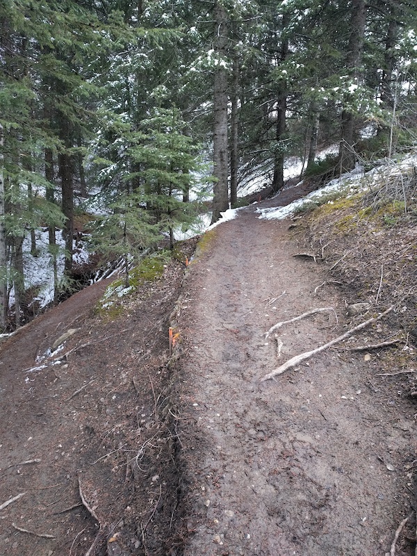 Calgary, Alberta Mountain Bike Trails | Trailforks