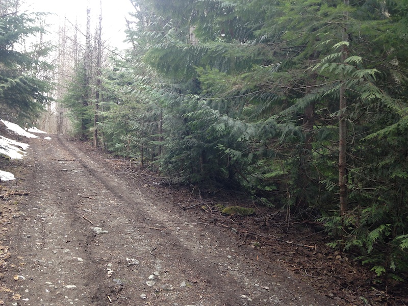 Valley Trail - Millar Creek to Function Junction Multi Trail - Whistler