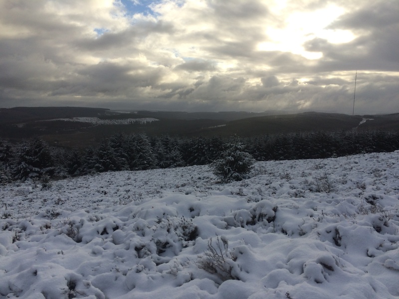 Mast doon! Hiking Trail - Durris Forest, Durris