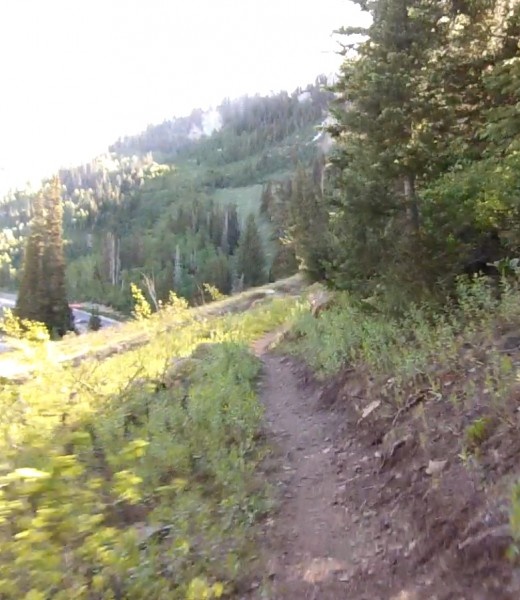 Chauners Loop Multi Trail - Alta, Utah | Trailforks