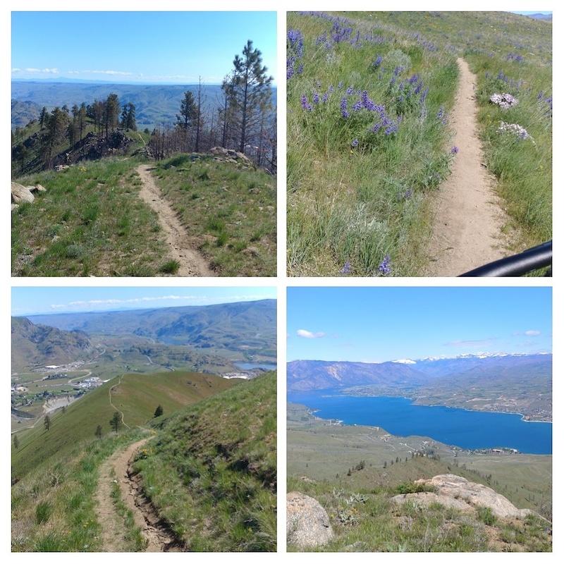 Chelan Butte Downhill Mountain Biking Trail - Chelan, WA
