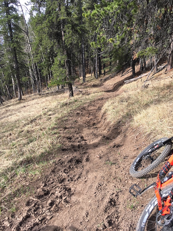 Snakes & Ladders Multi Trail - Bragg Creek, Alberta