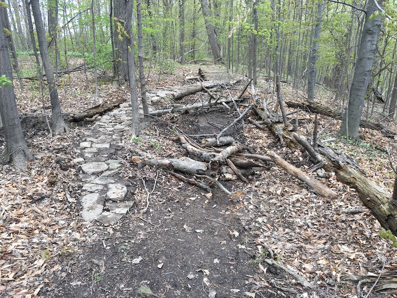 Spectrum Mountain Biking Trail - Etobicoke, Ontario