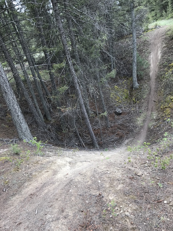 The Whoops Mountain Biking Trail - Fairmont Hot Springs