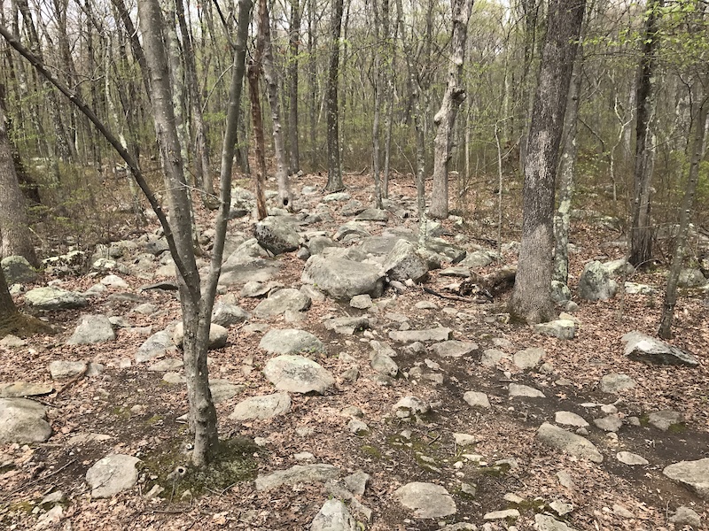 Lower Three Ledges Multi Trail - Milford, Massachusetts