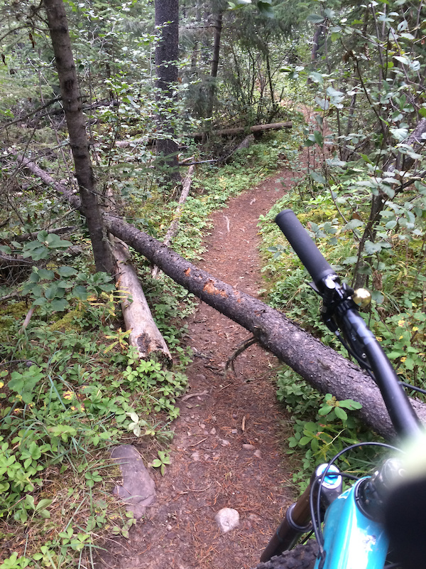 Trail 2h Multi Trail - Pyramid Bench, Jasper, Alberta