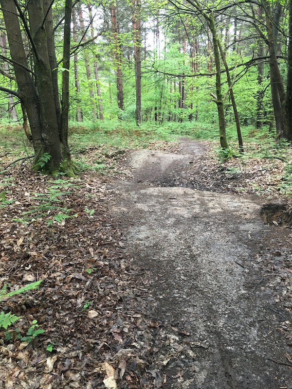 Tilgate Forest Mountain Biking Route | Trailforks