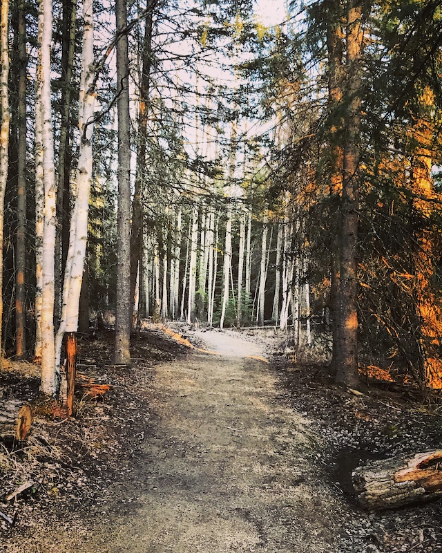 Lower Creek Trail Mountain Biking Trail - Fox Creek, AB