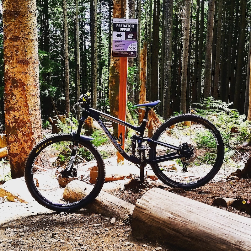 2015 Transition Smuggler M Custom built For Sale