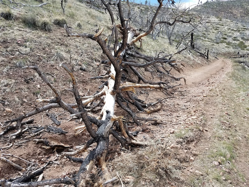 Hunter Lake Road Mountain Biking Trail - Reno, Nevada