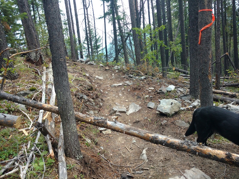 Tora Bora Ridge Multi Trail - Kimberley, British Columbia