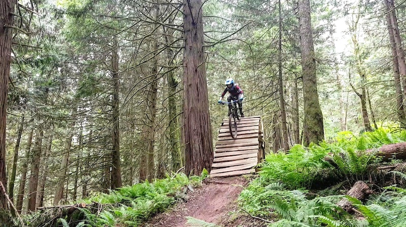 Electric Lettuce Mountain Biking Trail - Chilliwack