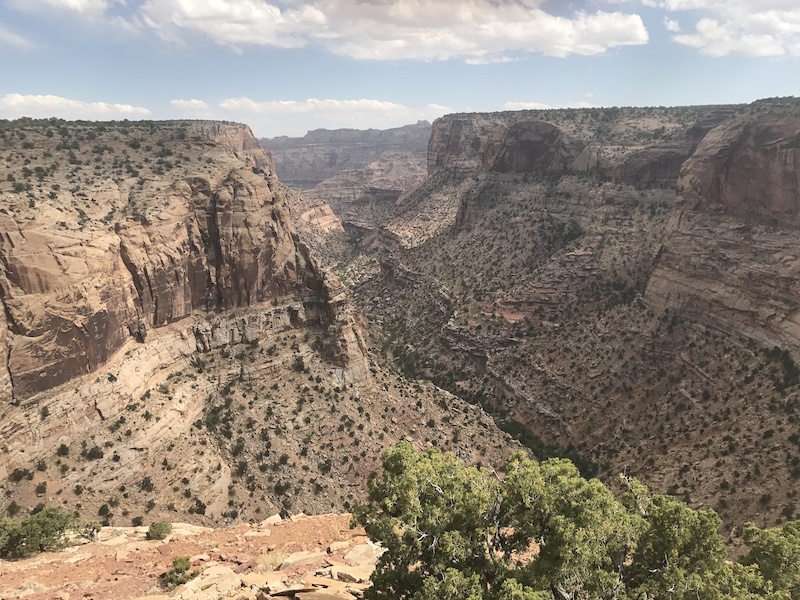 Wedge Overlook Main Access road Mountain Biking Trail - Green River