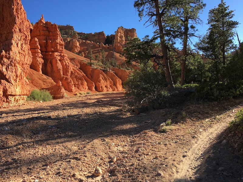 Losee Canyon Multi Trail - Panguitch, Utah | Trailforks