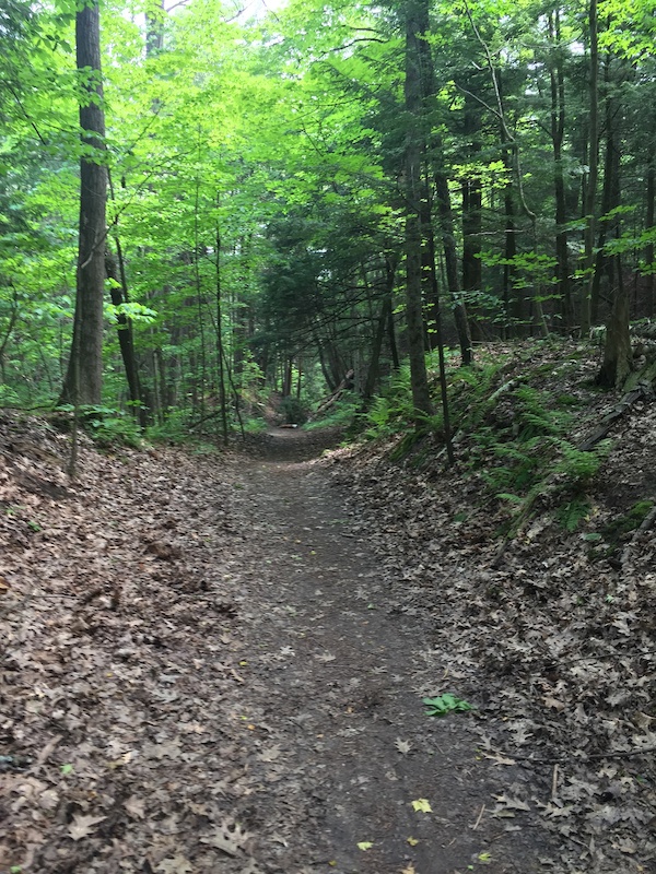 3 Rocks Mountain Biking Trail - Uxbridge, Ontario