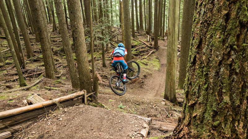 Lookout , Bellingham Mountain Biking Trails | Trailforks
