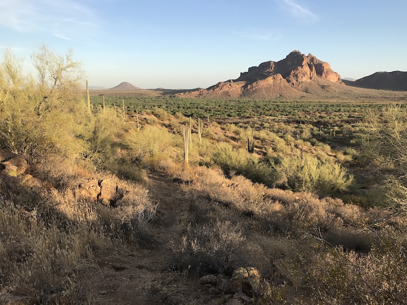 Riverview Multi Trail - Hawes, Mesa, Arizona