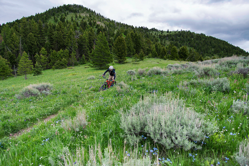 Garnet Mountain Multi Trail - Bozeman, Montana
