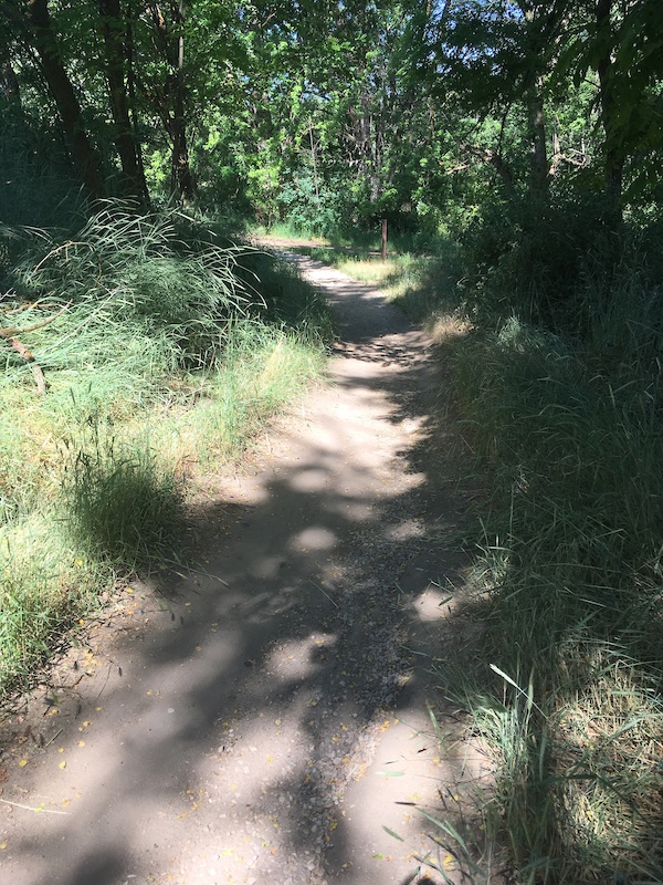 Owl's Roost Mountain Biking Trail - Boise, Idaho