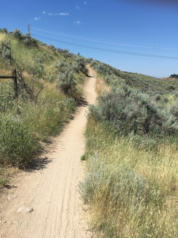 Chickadee Ridge Loop Mountain Biking Trail - Boise, Idaho