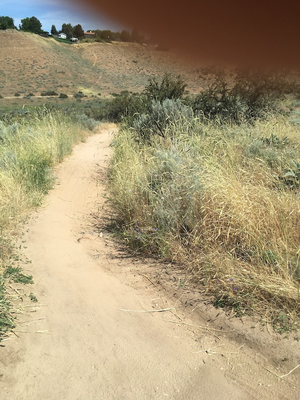 Red Fox Mountain Biking Trail - Boise, Idaho