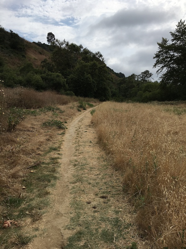 Lopez Canyon Trail Mountain Biking Trail - San Diego