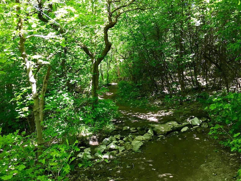 BST (Draper) Multi Trail - Draper, Utah | Trailforks