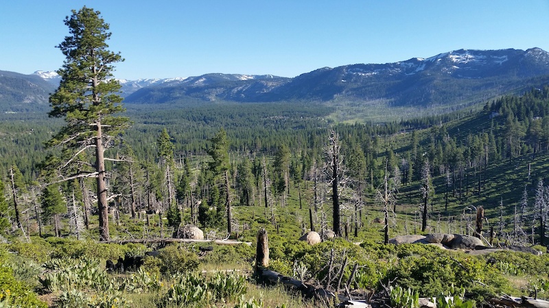 Valley View Trail Multi Trail - South Lake Tahoe, CA