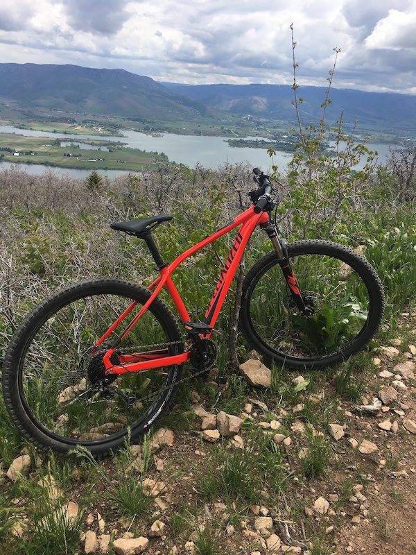 2017 XC specialized Rockhopper comp. For Sale