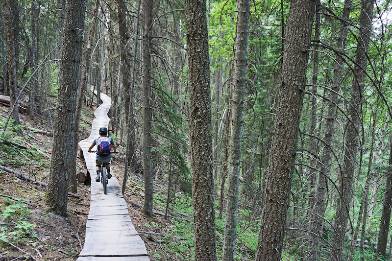 New England Clam Chowder Mountain Biking Trail - Prince George