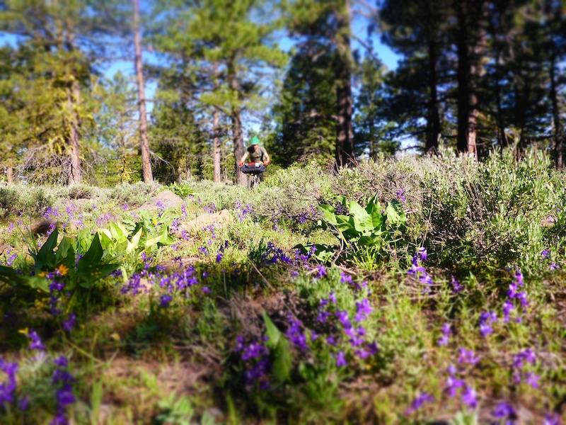 Fremont NRT - Winter Rim South Multi Trail - Lakeview