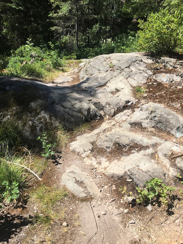 Smallwood Trail Mountain Biking Trail - Nelson, BC