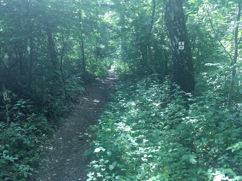 Concrete Trail Ketonia Mountain Biking Trail