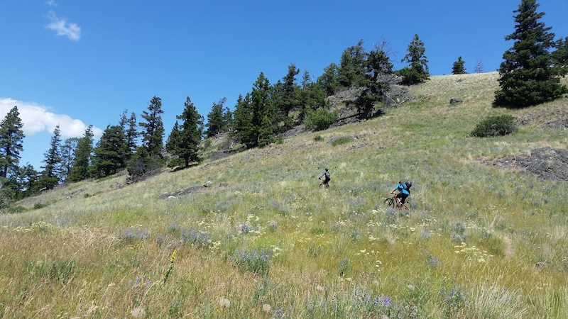 Upper Ridge Mountain Biking Trail - Merritt, BC