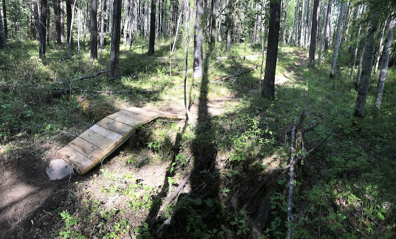 Re-Root Mountain Biking Trail - Edson, AB | Trailforks