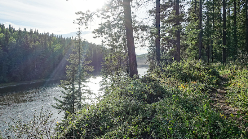 Root 66 Riverside Mountain Biking Trail - Edson, AB
