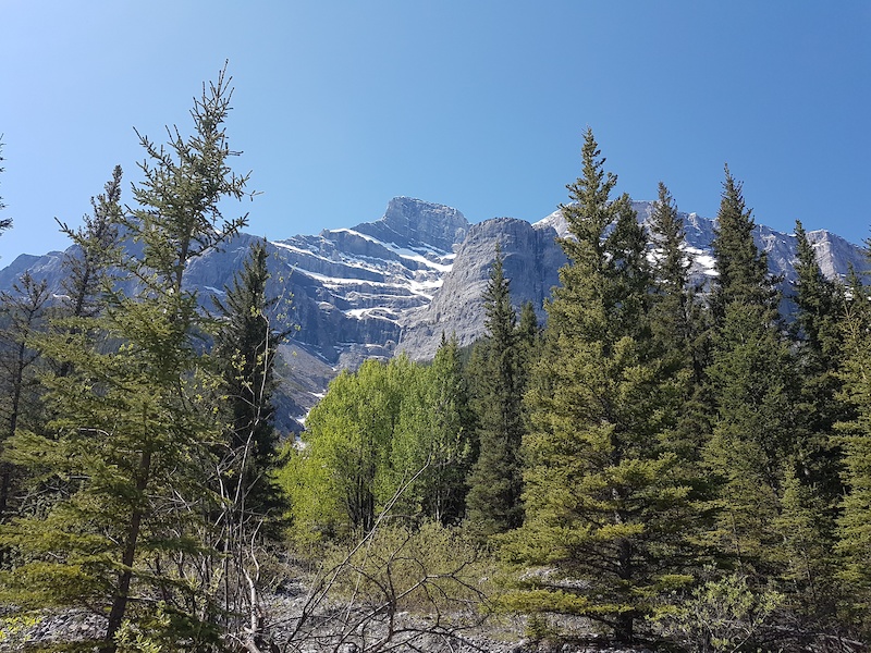 Rundle Riverside Mountain Biking Trail - - Alberta