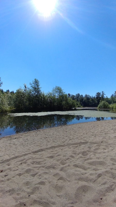 Latimer Park Trail Mountain Biking Trail - Langley