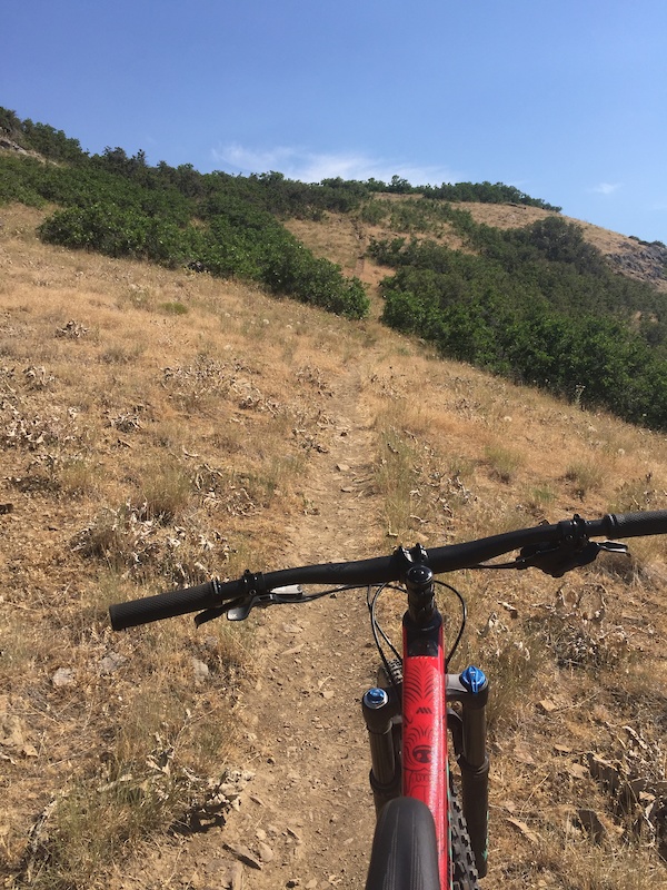 Mount Van Cott from Red Butte Gardens | Trailforks