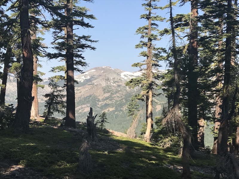 Mount Watson Boulevard Multi Trail - Tahoe City, CA