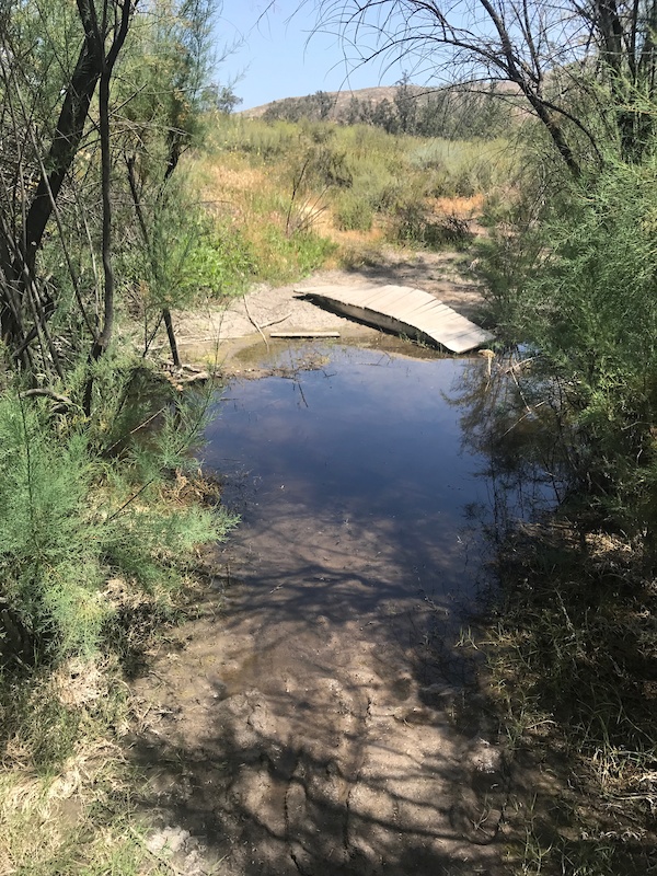 Lower Otay Lake Trail Multi Trail - Chula Vista, CA