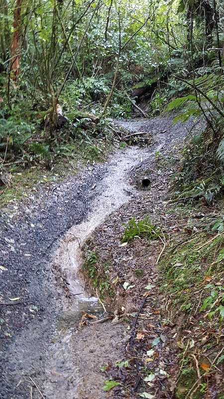 Fruit Loop Mountain Biking Trail - Dunedin | Trailforks