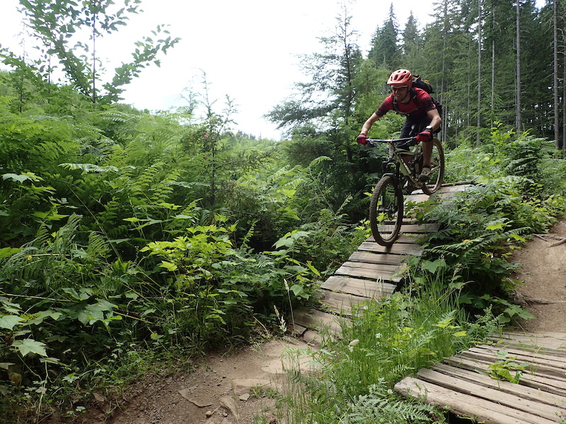 Bear Buns Mountain Biking Trail - Cumberland, BC