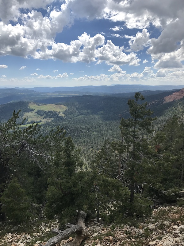 Virgin River Rim Mountain Biking Trail - Brian Head, Utah