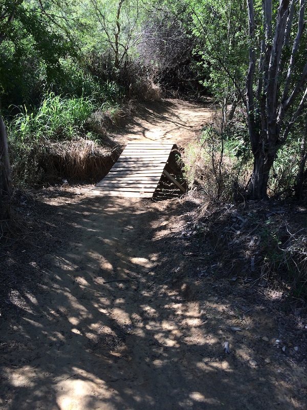 Manadas Creek Shiloh Trails, Laredo Mountain Bike Trails | Trailforks