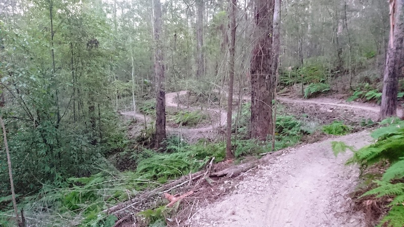 The Chicken Mountain Biking Route | Trailforks