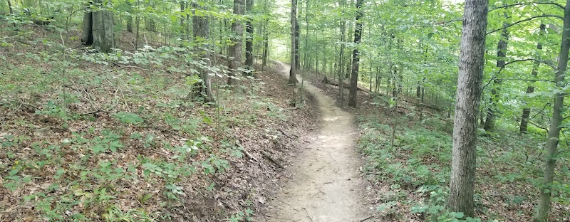 Paw Paw Trail Mountain Biking Trail - Jeffersontown