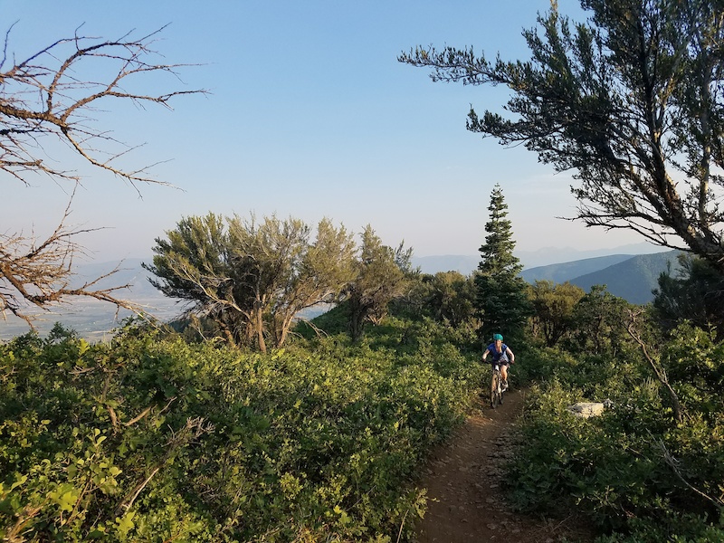 WOW/ROAD LOOP Mountain Biking Route | Trailforks
