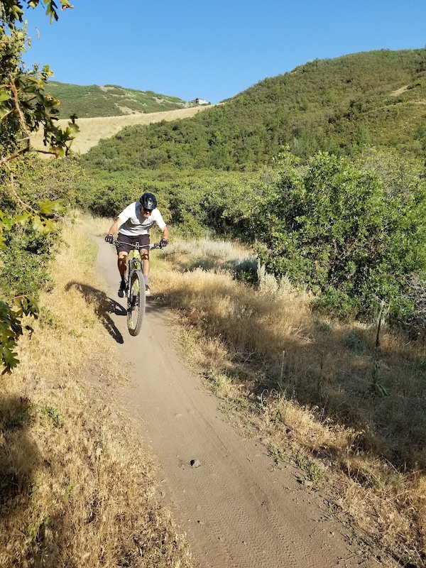 A-Line Mountain Biking Trail - Draper, Utah | Trailforks